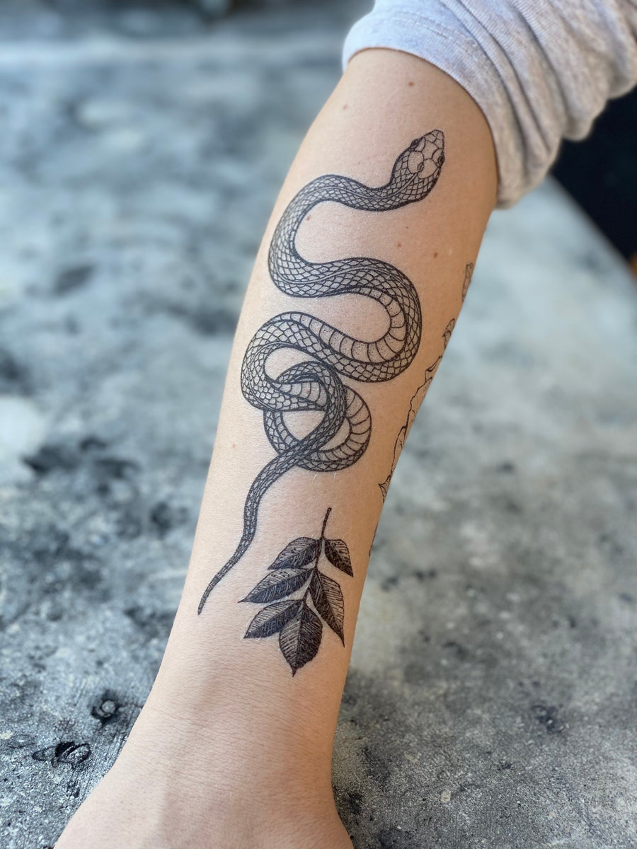 Garden Snake Temporary Tattoo – NatureTats